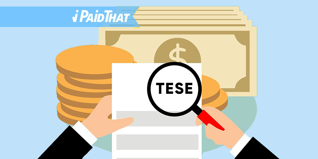 Créez votre fiche de paie grâce au TESE !- IPaidThat Mag